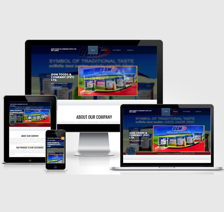 Web Design Sri Lanka | Web Design Kandy | armsolutions.lk